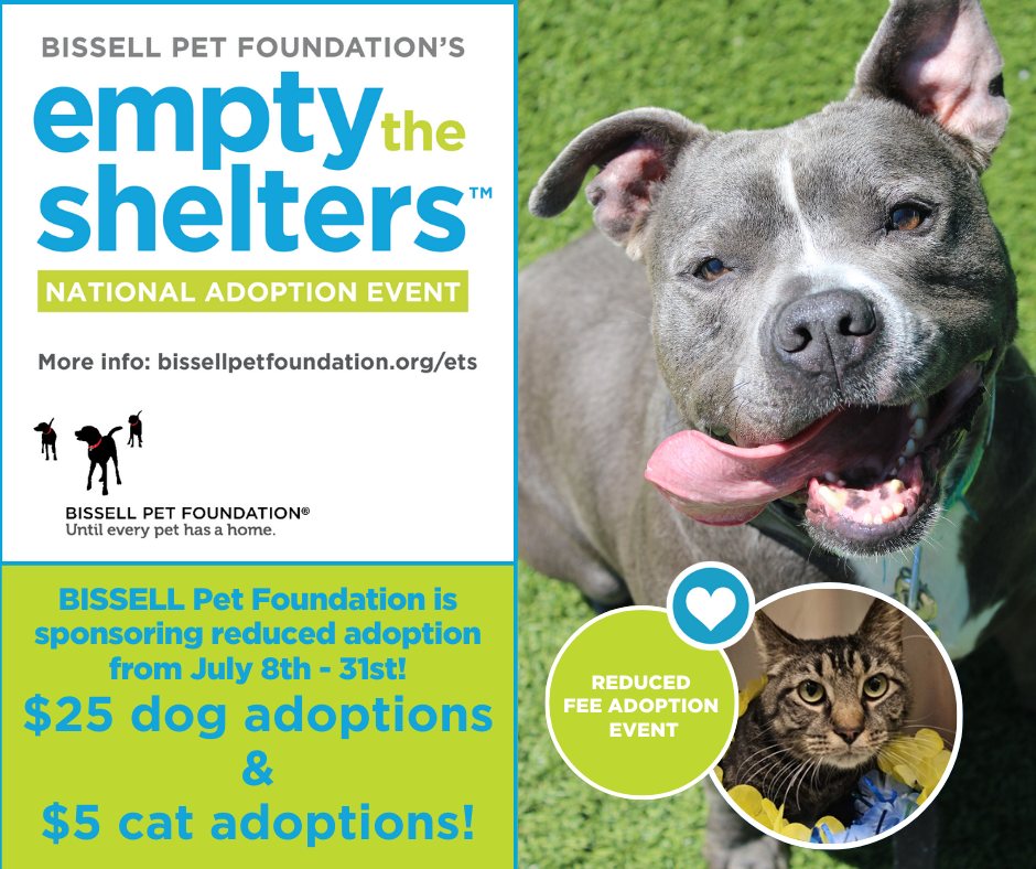 Adopt - Application & Fees - Adoption Fees | Animal Friends Humane Society